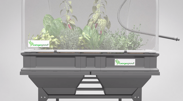 Vegepod's New 3D Animation Video! – Vegepod USA