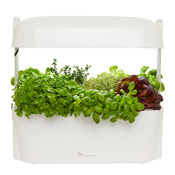 Kitchen Garden White | Indoor Vegetable Grow Kit | Vegepod USA