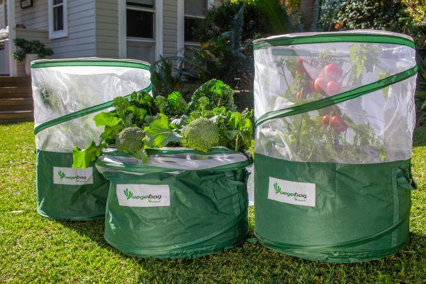 Self Watering Grow Bag | Protective Veggie Planter | Vegepod USA